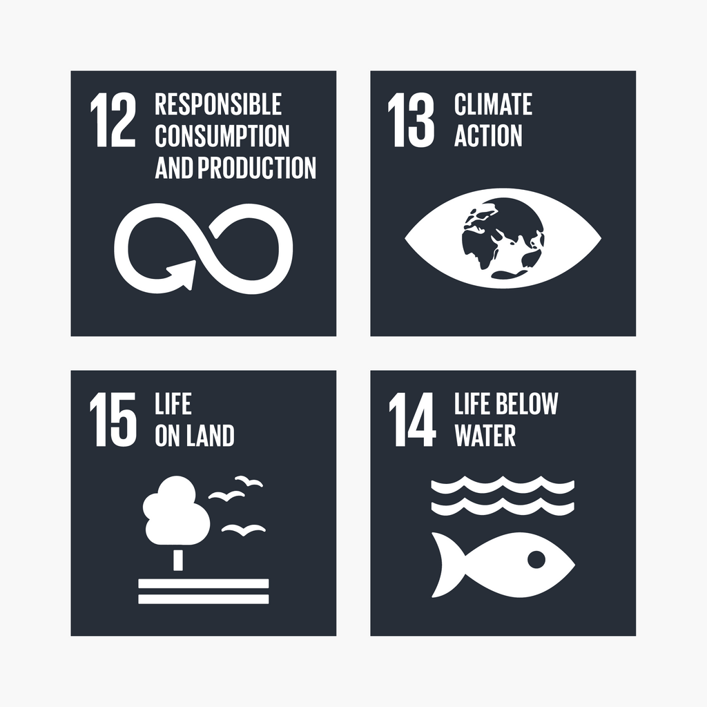 Sustainable Shoes & Ethically Sourced Materials - aciea – aciae